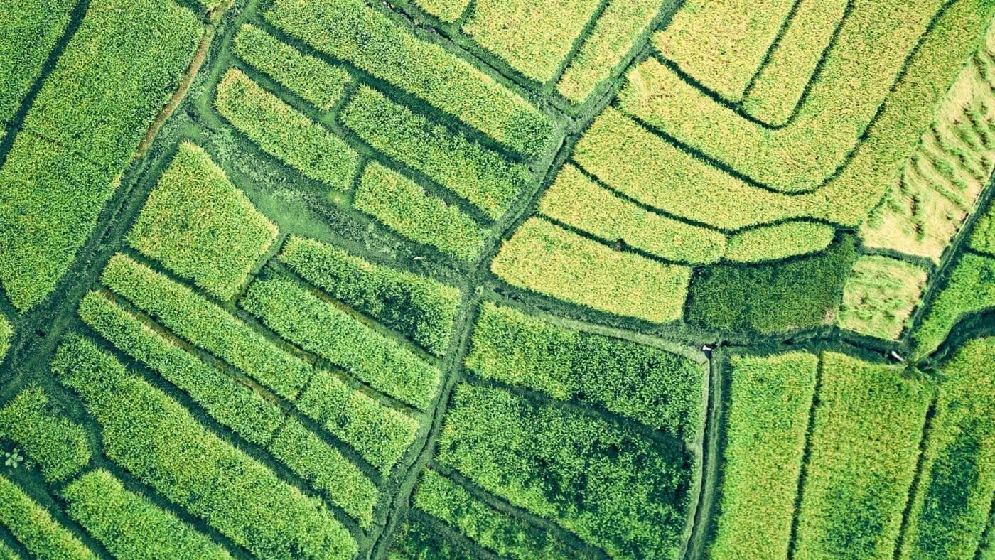 IT Asset Metal Recovery | n2s